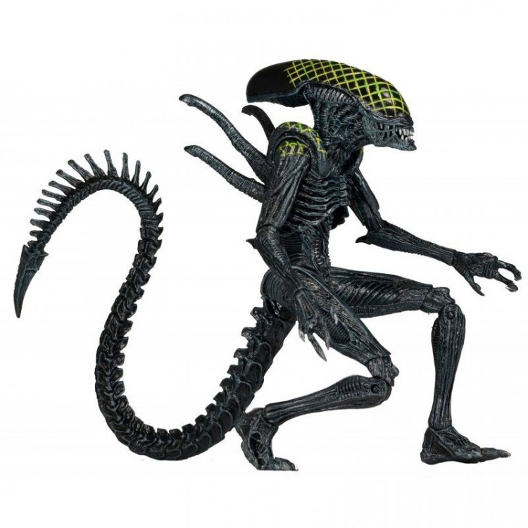 Фигурка AVP Grid Alien - Чужой (23см) купить в интернет-магазине Джей Той